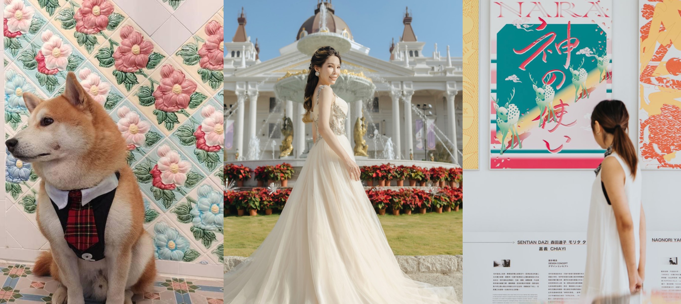 台灣夢幻景點再+1！嘉義十大OOTD穿搭景點出爐 冠軍讓IG小仙女都瘋掉｜每日調查｜網路溫度計 DailyView